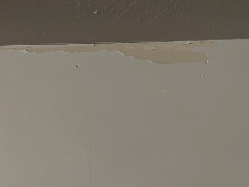 Valspar Reserve Eggshell Native Henna 6001-4b Latex Interior Paint ...