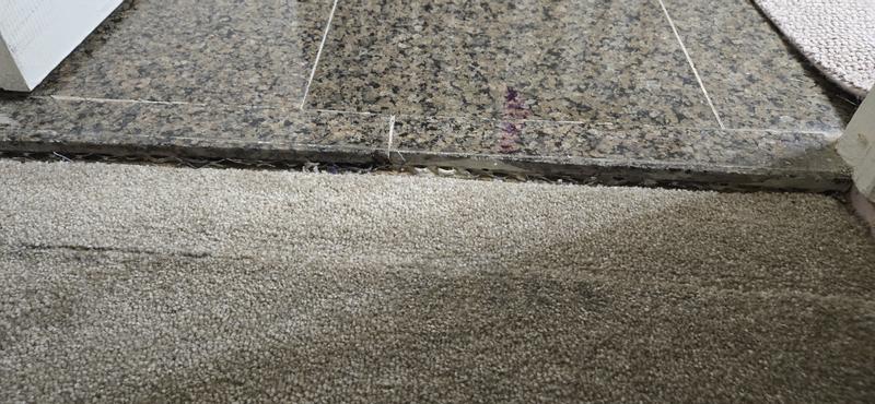 STAINMASTER (Sample) Plenitude Perfect Balance Brown 44-oz sq yard ...
