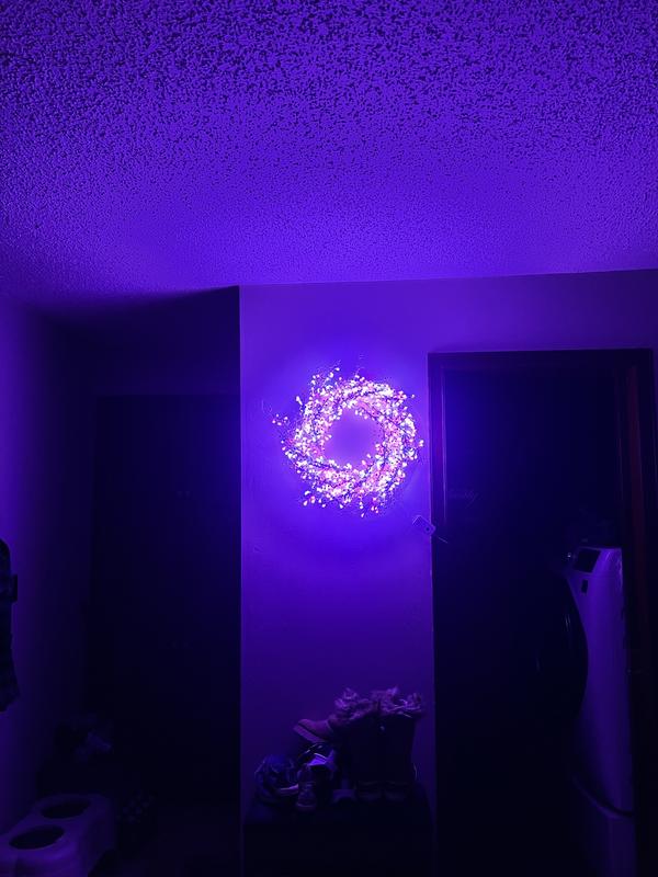 GE 28-in Color Changing LED Lights Winterberry Wreath Decoration ...