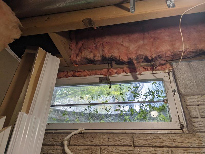 ENERFOAM 25 Professional Foam Sealant and Adhesive 24-oz Spray gun ...