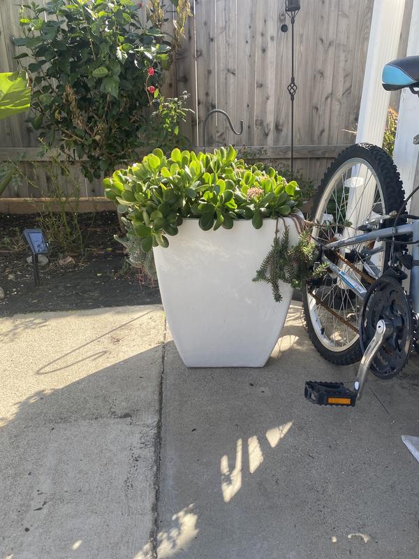 Square 13.5-in W x 18.5-in H Off-white Ceramic Planter 12133WT-2 at ...