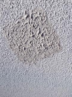 Zinsser Popcorn Ceiling Patch 32-fl oz White Popcorn Water-based ...