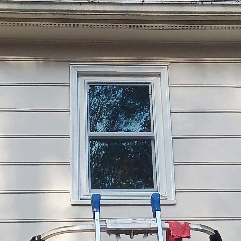 Pella 150 Series Fossil Fossil Vinyl Replacement Double Hung Window Low ...