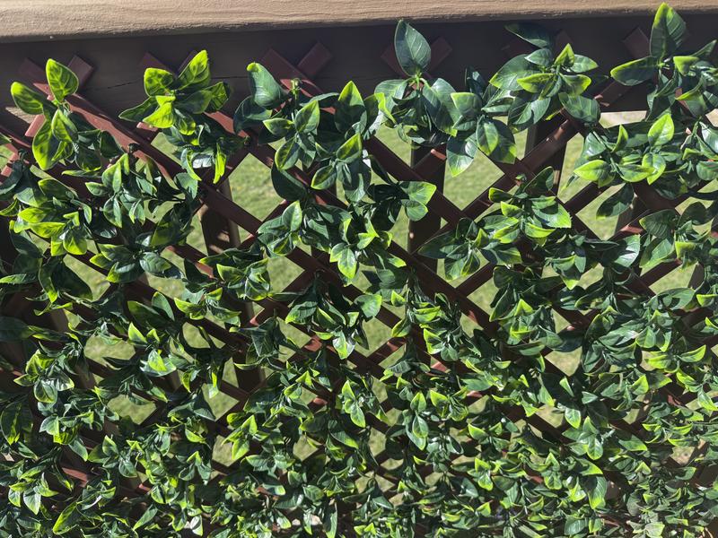 naturae decor Expandable Privacy 72-in W x 36-in H Artificial Gardenia ...