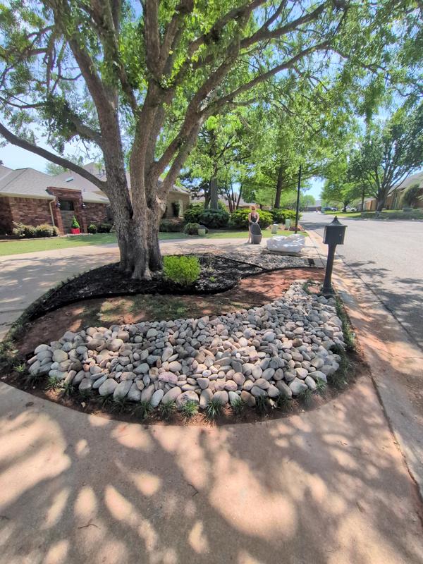 Flowerwood 54 Count Mondo Grass in Tray in the Ornamental Grasses ...