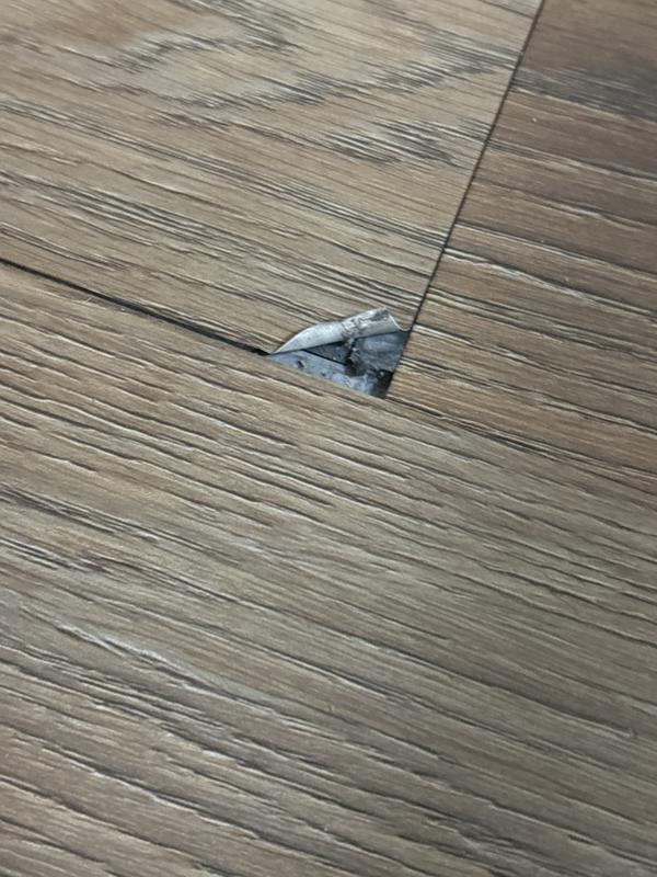 STAINMASTER Ainsley 12-mil x 7-in W x 48-in L Waterproof and Water ...