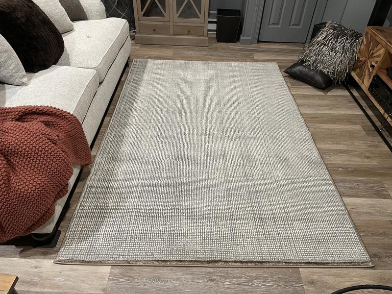 Origin 21 Microdot 8 X 10 (ft) Platinum Indoor Mid-century Modern Area ...