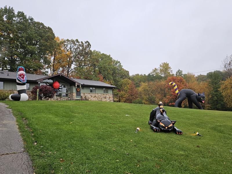 Shop Haunted Hill Farm Halloween Inflatable Cat Decorations at Lowes.com