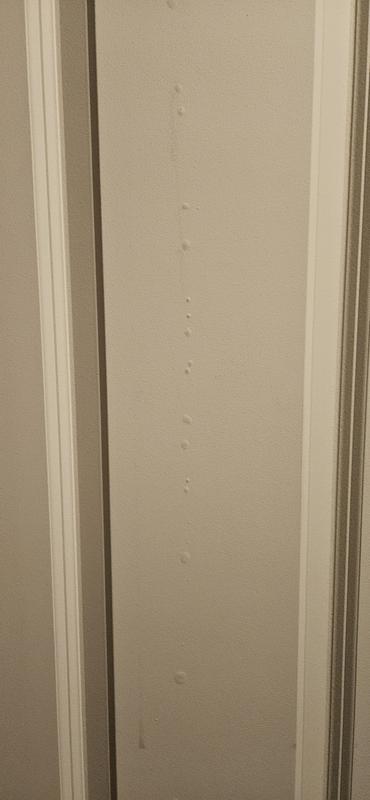 Masonite 30-in x 80-in (primed) 2-panel Smooth Hollow core Primed ...