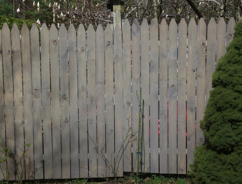 6-ft x 8-ft Spruce Stockade Privacy Stockade Fence Panel in the Wood ...