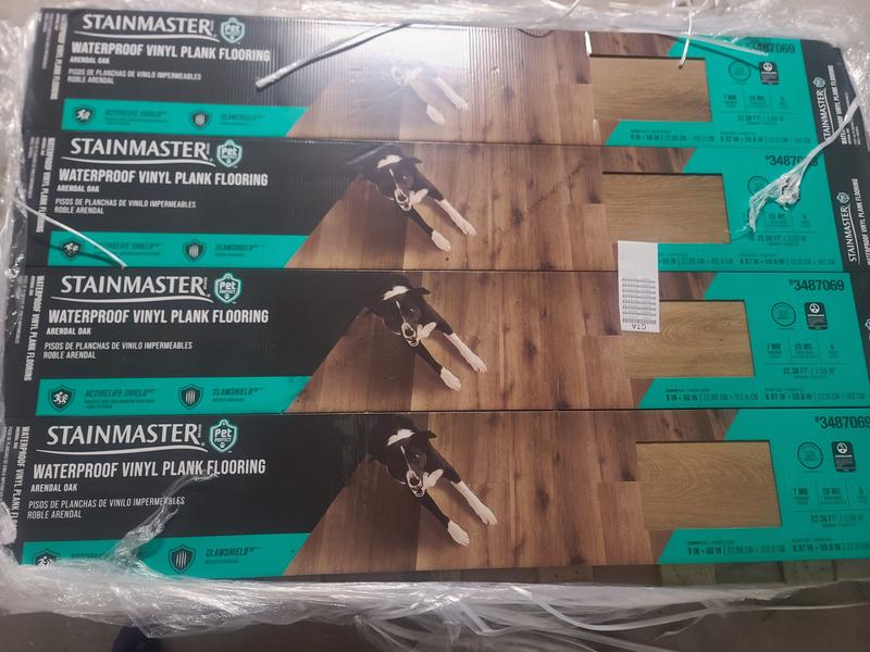 STAINMASTER PetProtect Arendal 20-mil x 9-in W x 60-in L Luxury Vinyl ...