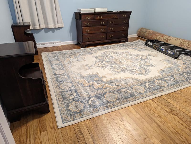 allen + roth with STAINMASTER Avery Blue 8 X 10 (ft) Blue Indoor ...