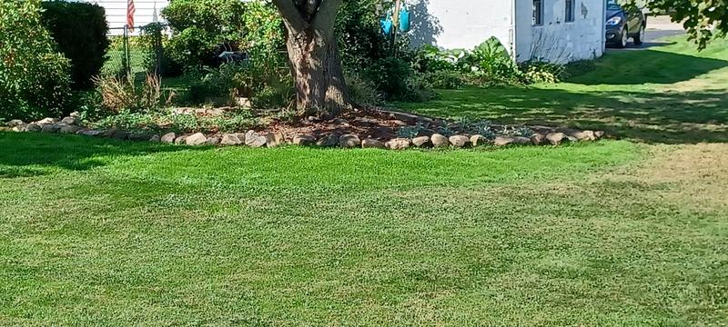 Sta-Green QuikGrow2x Sun and Shade 7-lb Mixture/Blend Grass Seed in the ...