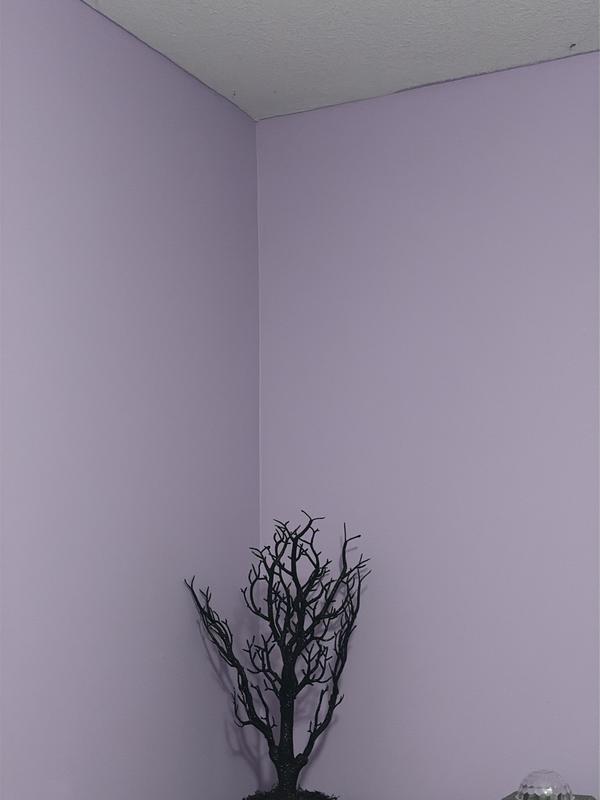 Valspar Pro ExpressCoat Eggshell Urbane Bronze HGSW3481 Latex Interior ...