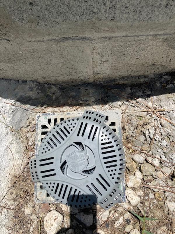 Drain Defender 12-in L x 12-in W x 12-in dia 2-in high drain defense ...