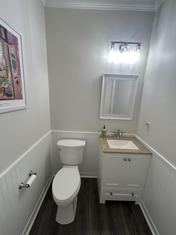 allen + roth Emeryson 24.5-in 4 Light Gold Transitional Bathroom Vanity ...
