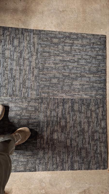 Shaw Tate 24-in x 24-in Moongaze Multi-Colored Commercial Adhesive ...