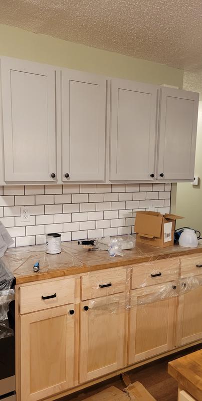 Giani Nuvo Antique White Cabinet Paint Kit FG-NU ANTIQ KIT at Lowes.com