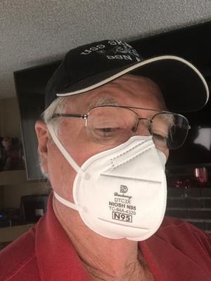 Dasheng White Disposable N95 Safety mask 5 -Pack in the Respirators ...