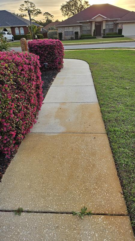 RustAid 1 Gallons Rust Remover