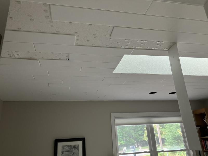 LOCTITE Power Grab Polymer-based White Multi-use Interior/Exterior ...