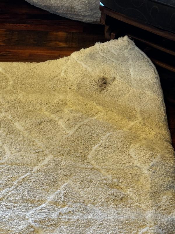 allen + roth Lucia 2 X 3 (ft) Ivory Indoor Geometric Throw Rug L8020W2L ...