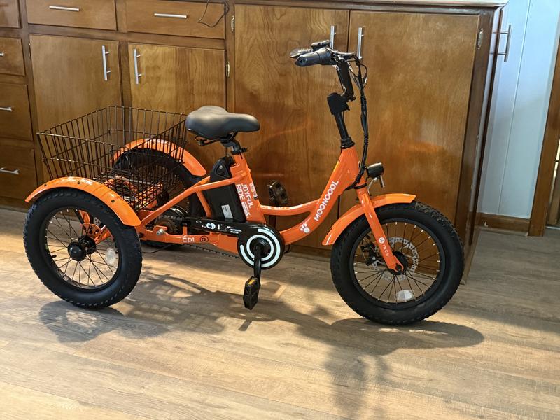 Esazn 16-in Youth unisex E-bike in the Bikes department at Lowes.com