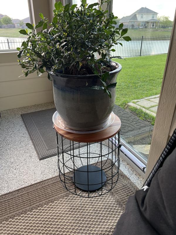 allen + roth 18-in H x 16.3-in W Black Indoor/Outdoor Round Wood Plant ...