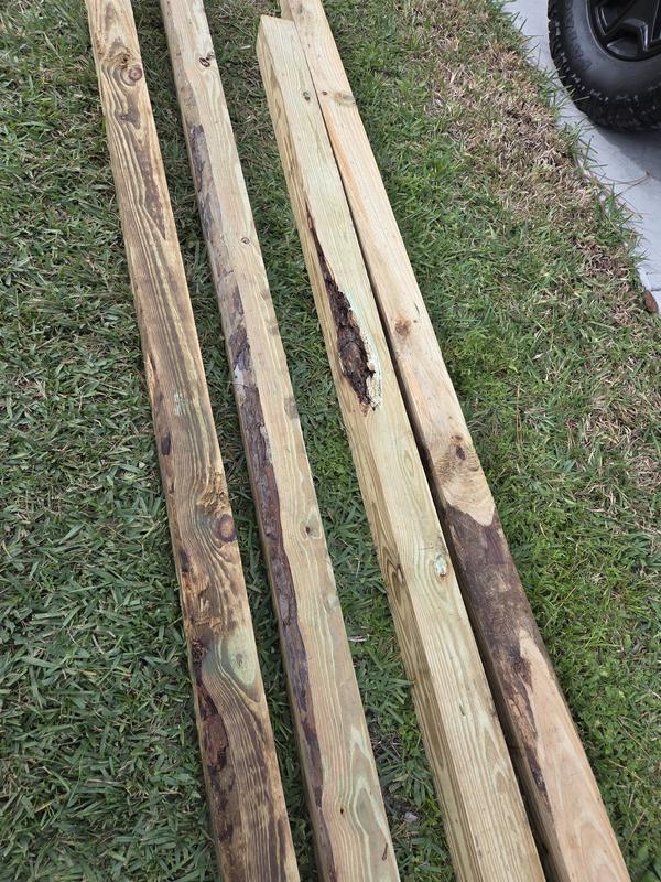 Shop Pavestone Bench (14" L x 6' W x 18" H)- Small at Lowes.com