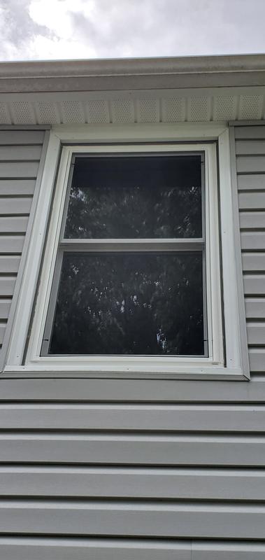 Pella 150 Series 27-1/2-in x 45-1/2-in White Exterior White Interior ...