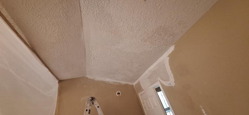 WAL-BOARD TOOLS Drywall Plastering Texture Brush 5-in Reusable Round ...