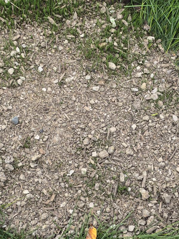 Hapi-Gro Timberline 40-lb Organic Compost and Manure Provides Organic ...