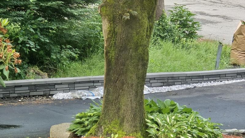 Belgard 4-in H x 12-in L x 5.75-in D Riverblend Concrete Retaining Wall ...