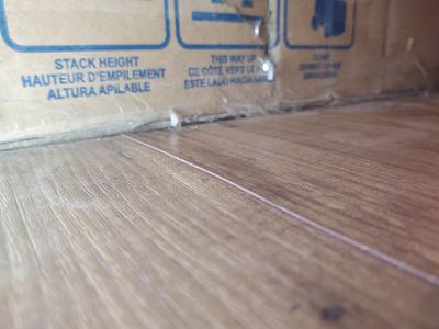 Pergo Portfolio + WetProtect Rustic Amber Chestnut 10-mm T x 7-1/2-in W ...