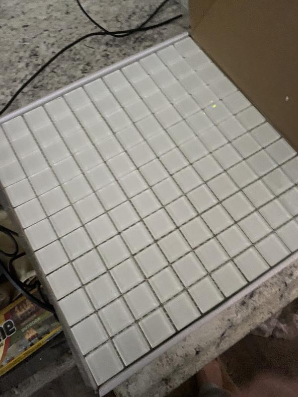 Apollo Tile Colorway Abalone Gray 12-in x 12-in Glossy Glass Uniform ...