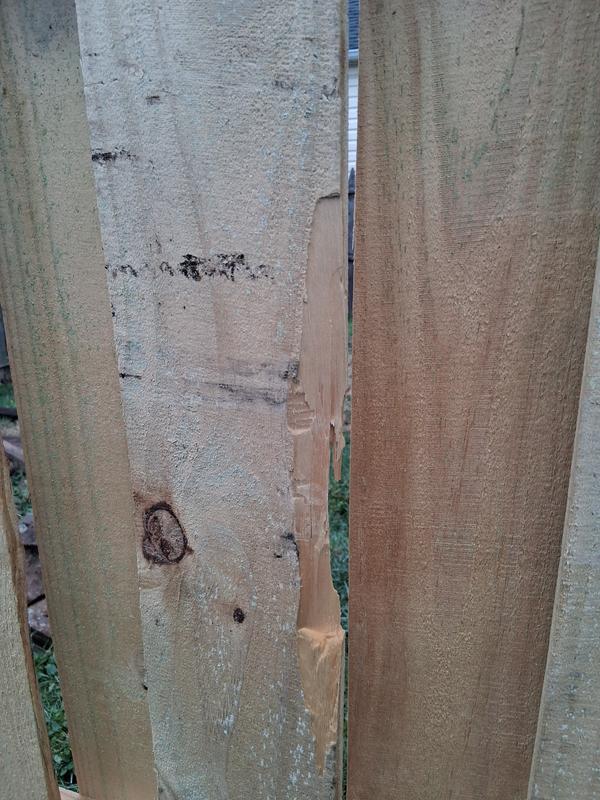 Severe Weather 6-ft x 8-ft Pressure Treated Pine Dog ear Privacy ...