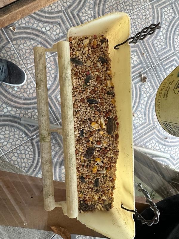 Red River Commodities (blend) Bird seed 7 Pound(s) in the Bird ...