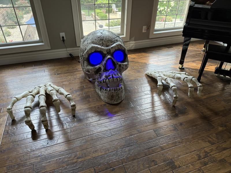 Shop Haunted Living Haunted Skeletons Collection at Lowes.com