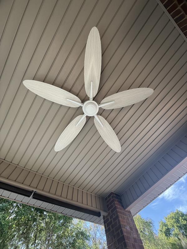 Harbor Breeze Tropic Palm 60-in Matte White with White-washed Oak ...