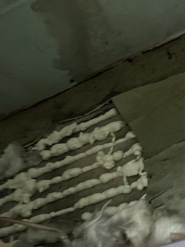 GREAT STUFF Gaps and Cracks 12-oz Straw Indoor/Outdoor Spray Foam ...