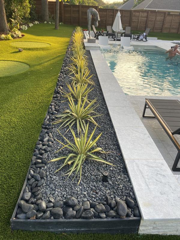 Rain Forest Black Super Polished Pebbles 2-3-in 30lbs - Landscaping ...