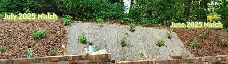 Timberline 2-cu ft All Natural Hardwood Bark Hardwood Mulch 52055476 at ...