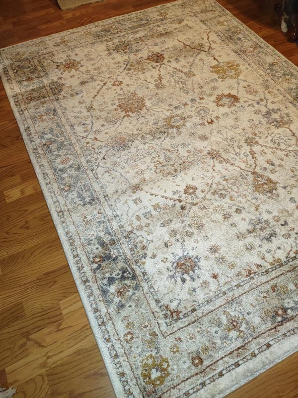 allen + roth with STAINMASTER Camille Border 8 X 10 (ft) Beige Indoor ...