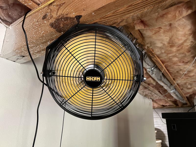 EdenDirect 12-in Indoor Yellow Wall Mounted Fan in the Wall Mounted ...