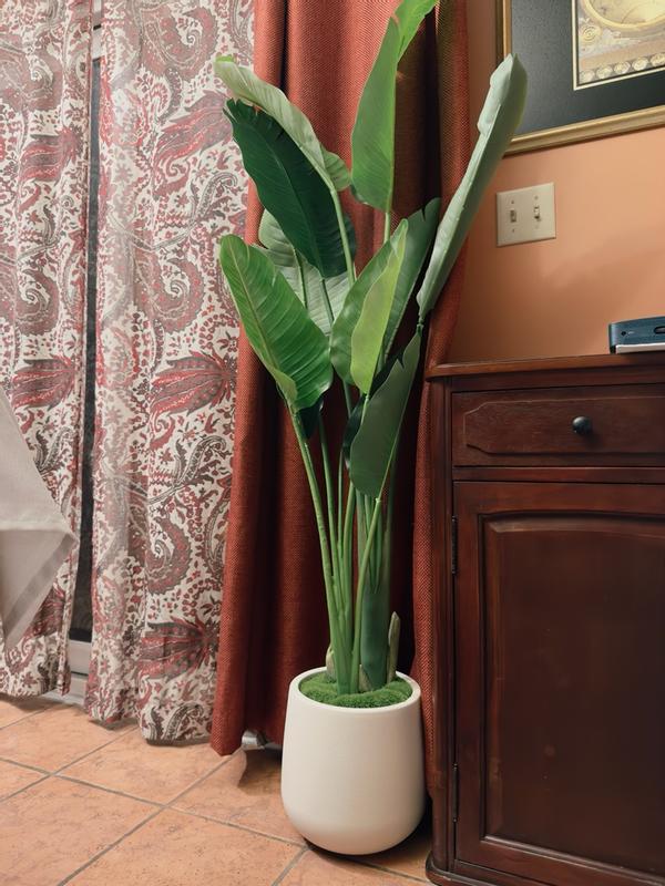 Edvivi 72-in Green Indoor Floor Bird of Paradise Artificial Tree in the ...