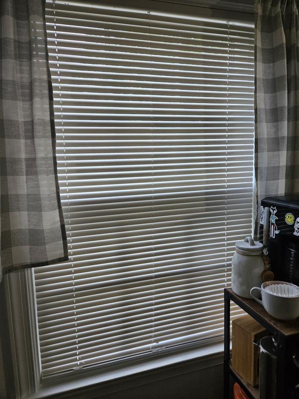 allen + roth Durable Cordless Mini Blind 1-in Slat Width 36-in x 72-in ...