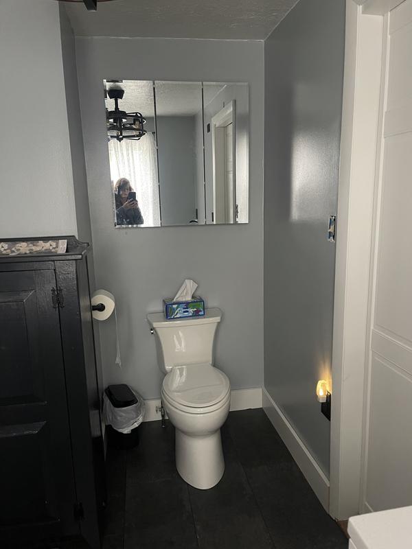 Design House Ventura 24-in x 30-in Surface Mount Espresso Mirrored ...