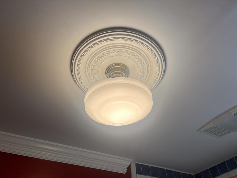 Ekena Millwork Cole Thermoformed 22-in W x 22-in L Painted Metallic ...