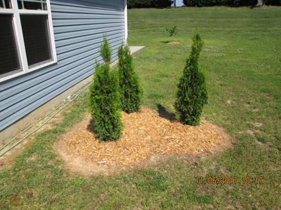 NoFloat 2-cu ft Cypress Blend Mulch in the Bagged Mulch department at ...