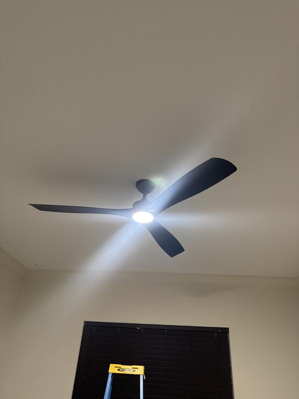 Parrot Uncle 60-in Matte Black with Dark Walnut Blades Color-changing ...